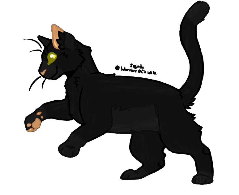 Nightpelt (THD) | Warriors OC's Wiki | Fandom