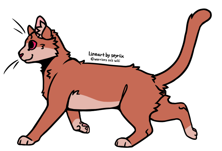 Rosepaw (BC) | Warriors OC's Wiki | Fandom