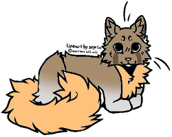 Sleekwing | Warriors OC's Wiki | Fandom