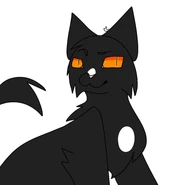 Nightdust | Warriors OC's Wiki | Fandom