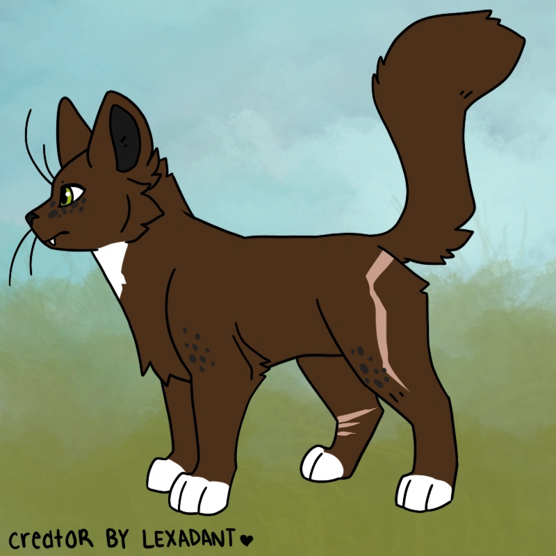 Oakstar (MR) | Warriors OC's Wiki | Fandom