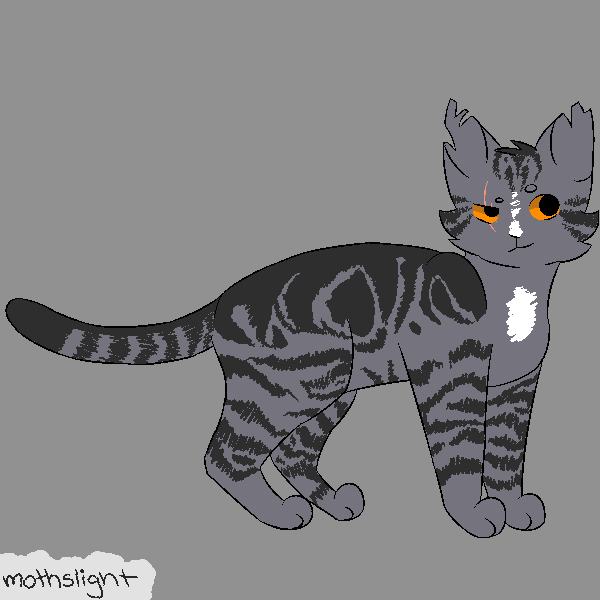 Ashtail | Warriors OC's Wiki | Fandom