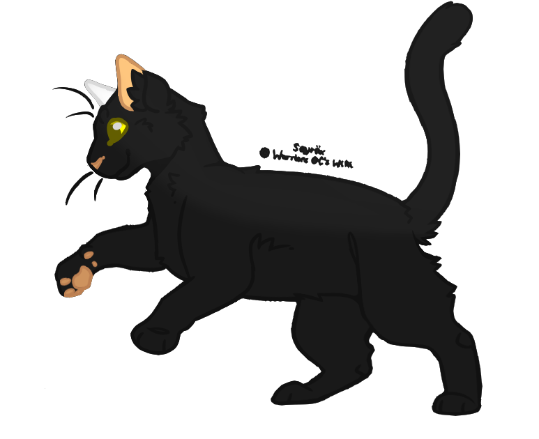 Sootstripe (LoS) | Warriors OC's Wiki | Fandom