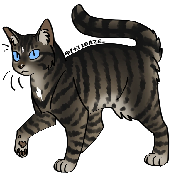 Spiderwing (CC) | Warriors OC's Wiki | Fandom