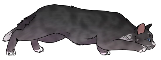 Swallowsong (FS) | Warriors OC's Wiki | Fandom