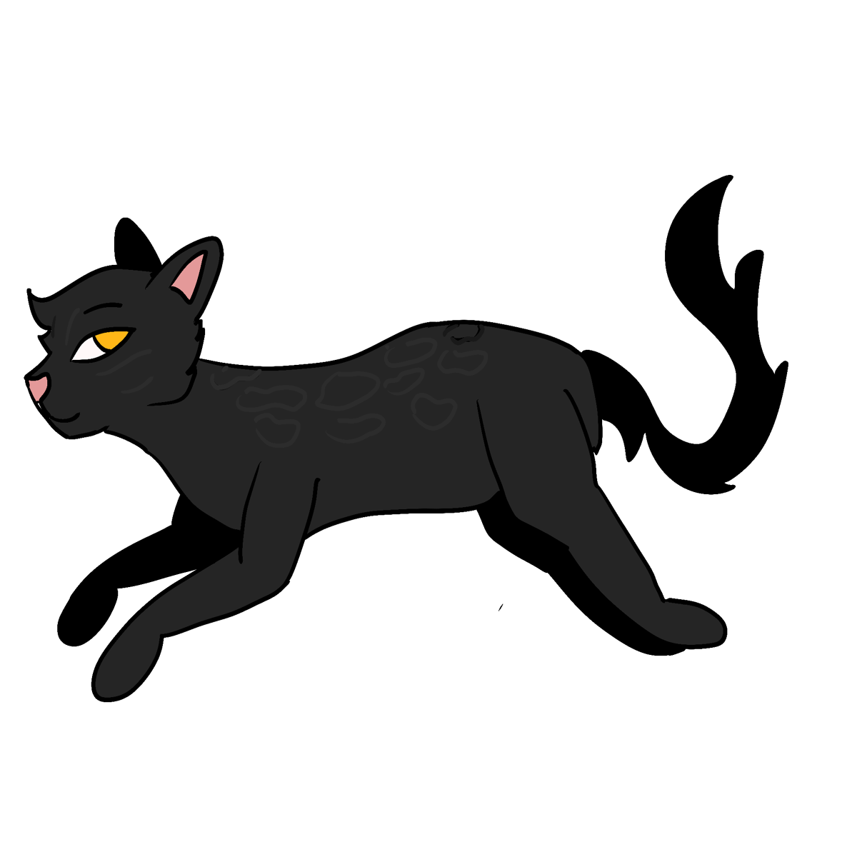 Jayden (CS) | Warriors OC's Wiki | Fandom