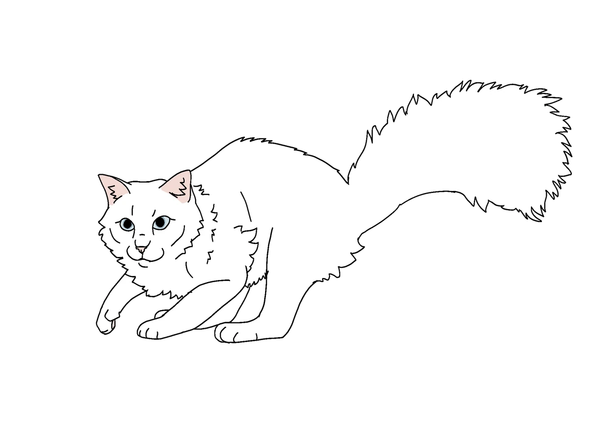 Ivypaw (SotC) | Warriors OC's Wiki | Fandom