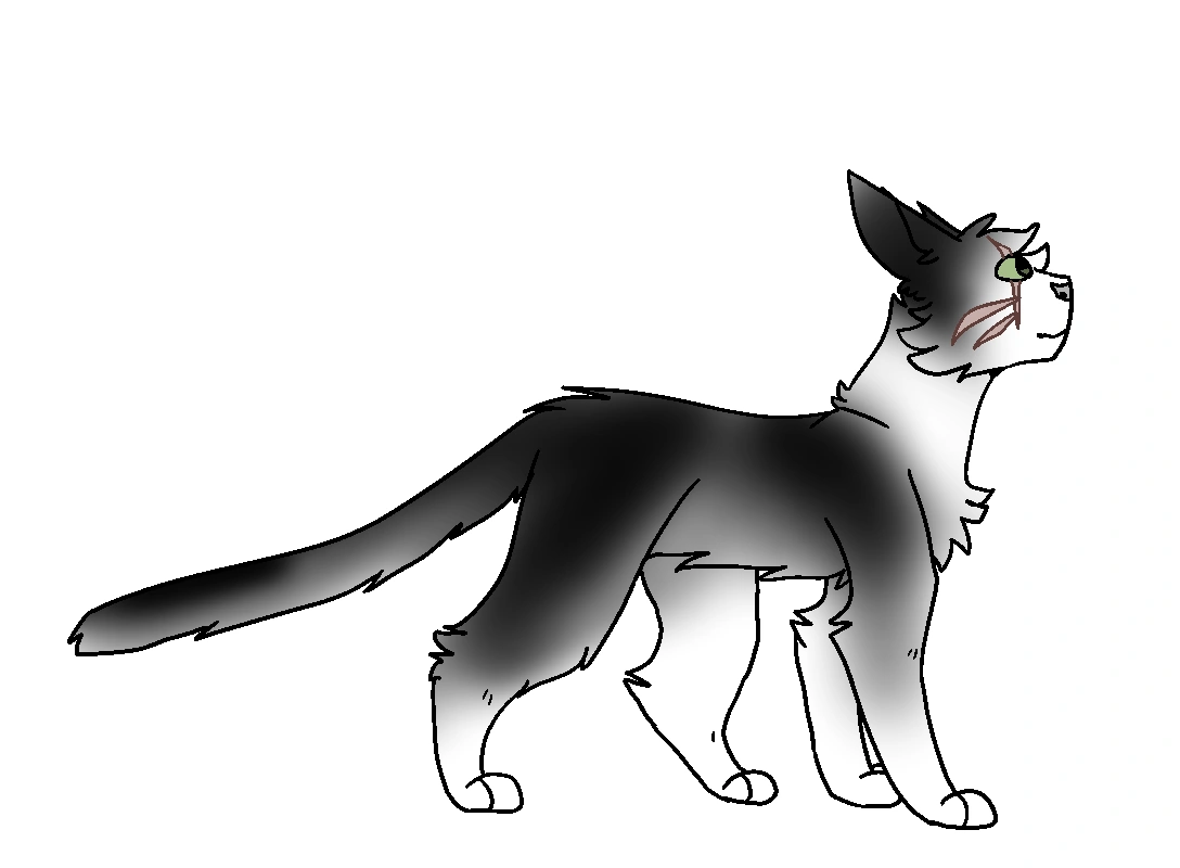 Maskedwhisper | Warriors OC's Wiki | Fandom