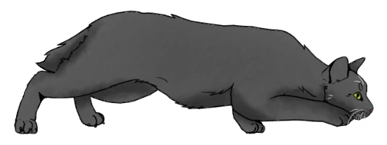 Bushtail | Warriors OC's Wiki | Fandom