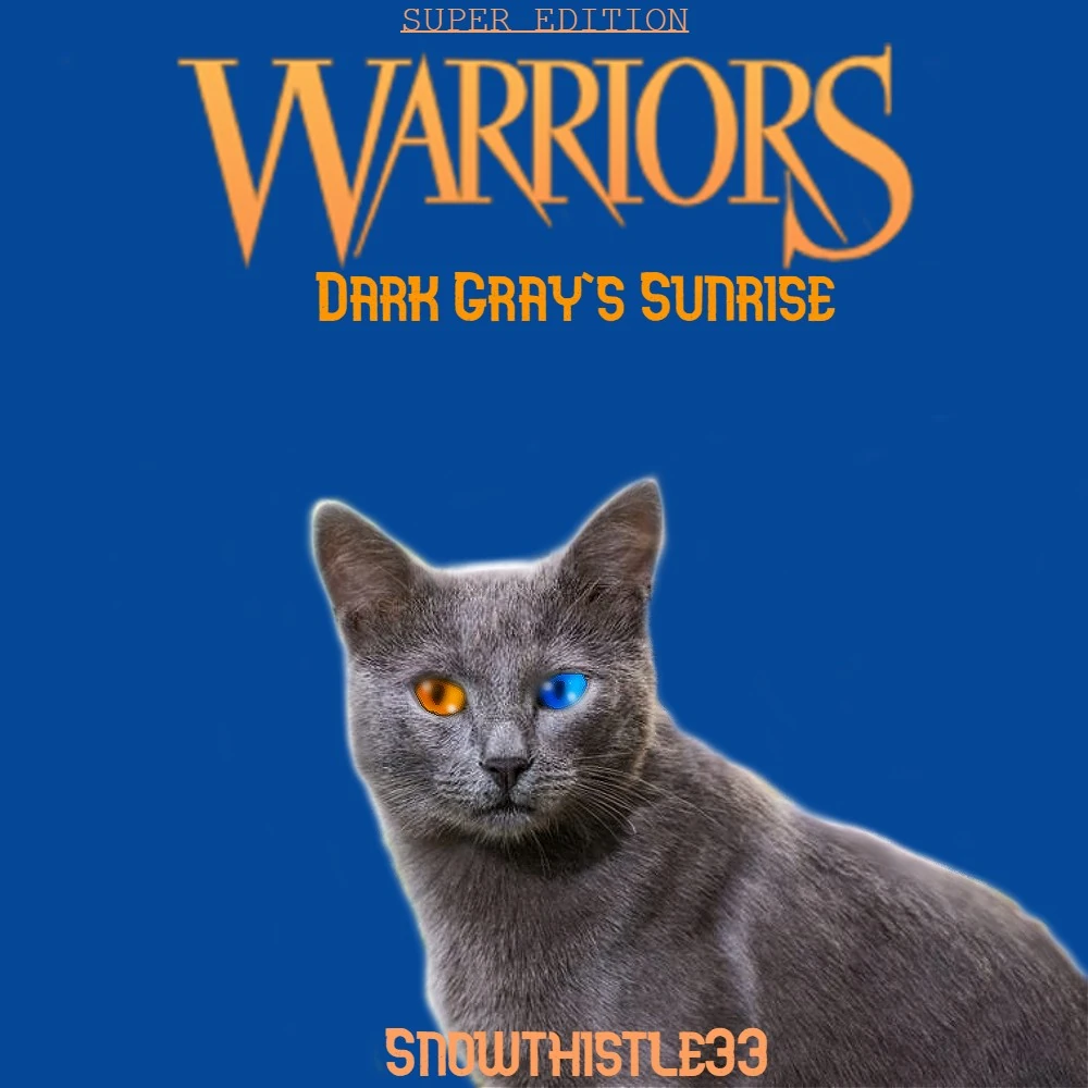 Dark Gray's Sunrise | Warriors OC's Wiki | Fandom