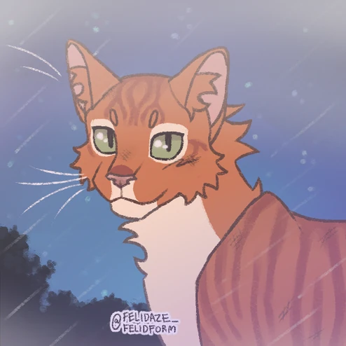 Stormpaw (Formerly Ritz) | Warriors OC's Wiki | Fandom