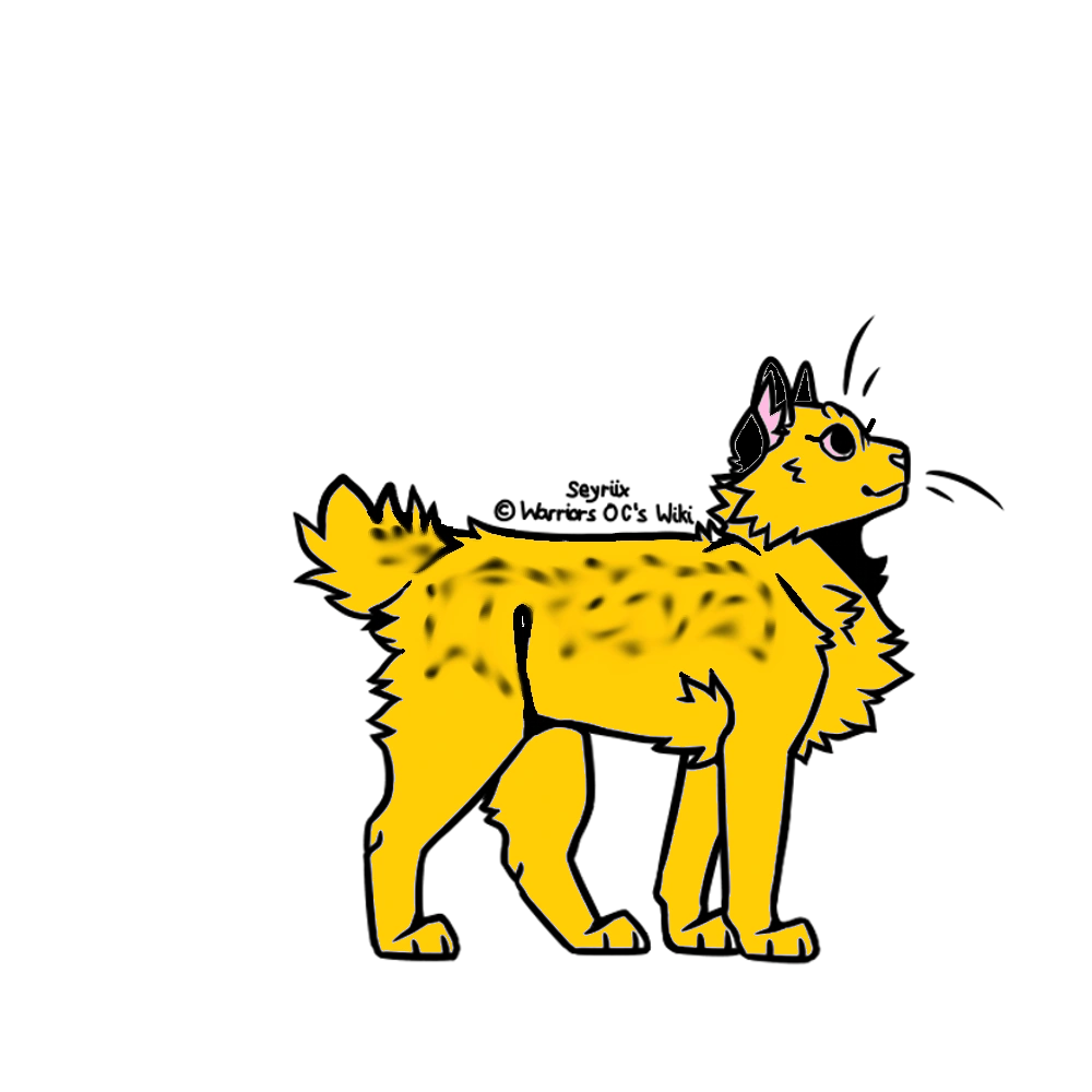 Cheetahpelt | Warriors OC's Wiki | Fandom