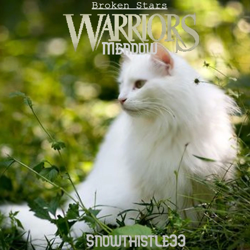 Meadow | Warriors OC's Wiki | Fandom