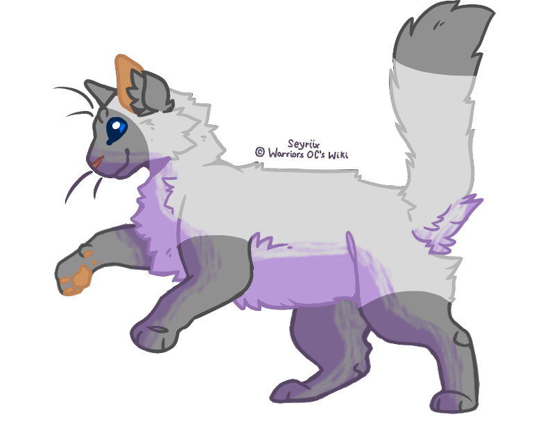 Clearwater | Warriors OC's Wiki | Fandom