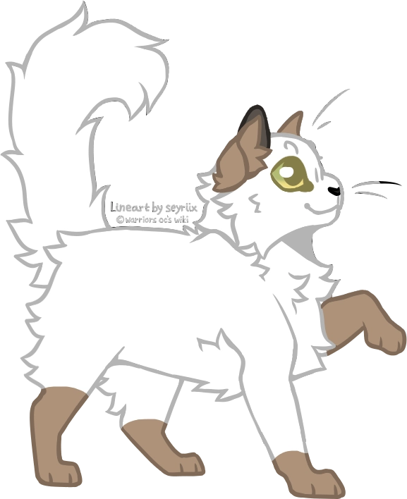 Sprucekit | Warriors OC's Wiki | Fandom