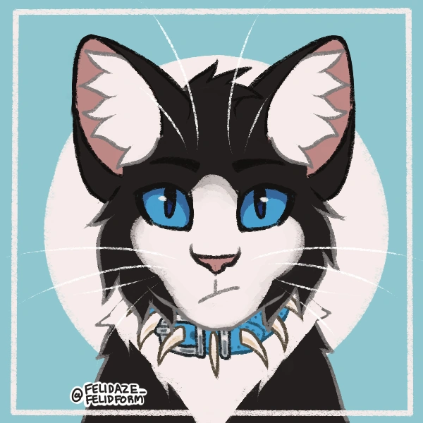 Radio (FS) | Warriors OC's Wiki | Fandom