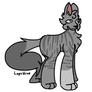 Stormtail (TC) | Warriors OC's Wiki | Fandom