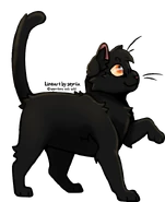 Nightdust | Warriors OC's Wiki | Fandom