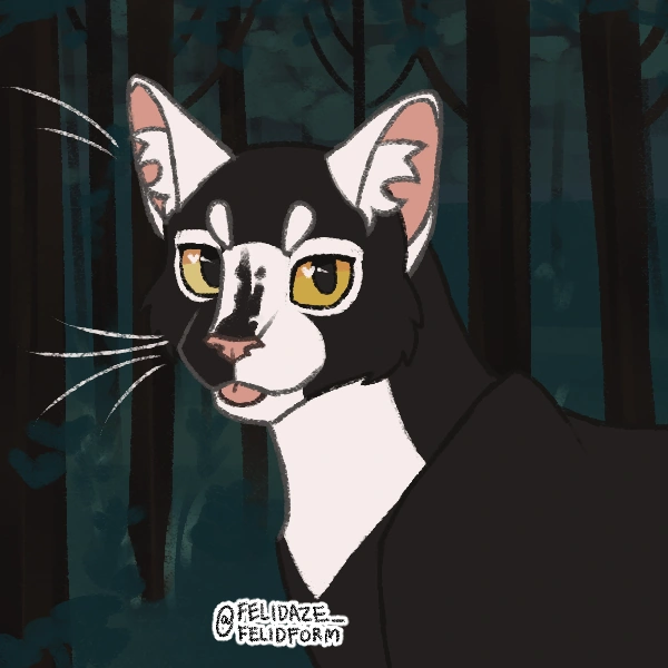 Magpiesong (FS) | Warriors OC's Wiki | Fandom