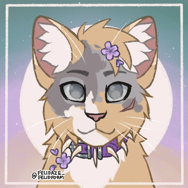 Shiverpool (FS) | Warriors OC's Wiki | Fandom