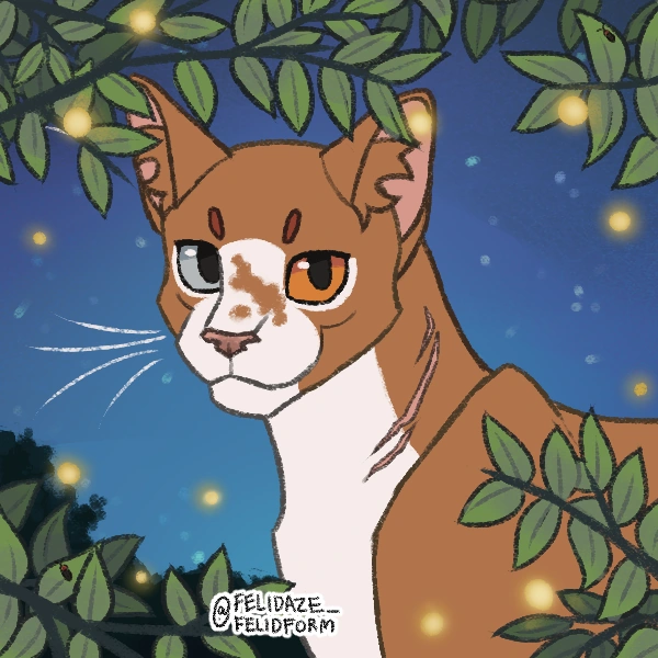 Duskstar (AP) | Warriors OC's Wiki | Fandom