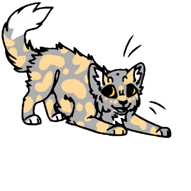 Hollowkit | Warriors OC's Wiki | Fandom