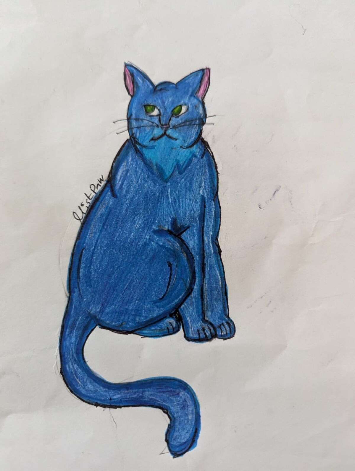 Mistpaw Trs Warriors Ocs Wiki Fandom