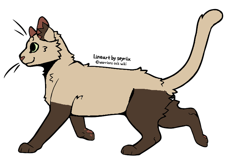 Oakpaw (TC) | Warriors OC's Wiki | Fandom