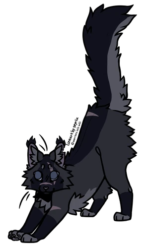 Shadow Omen | Warriors OC's Wiki | Fandom