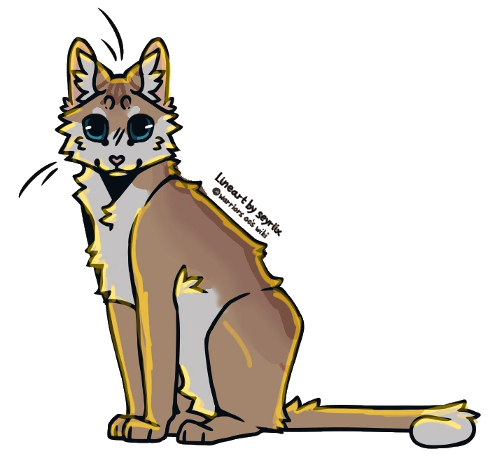 DogeStar | Warriors OC's Wiki | Fandom