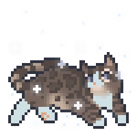 Ploverstar (StC) | Warriors OC's Wiki | Fandom