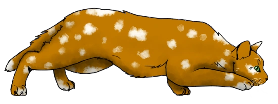 Dappledpelt | Warriors OC's Wiki | Fandom