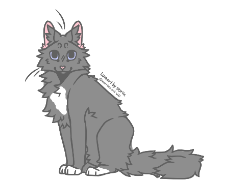 Wolfstar (COTF) | Warriors OC's Wiki | Fandom