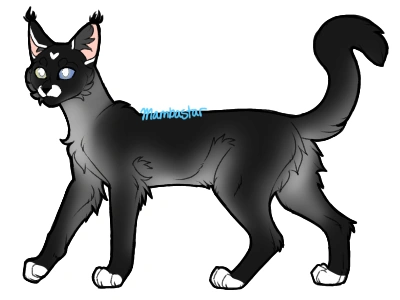 Cloudseeker (FS) | Warriors OC's Wiki | Fandom