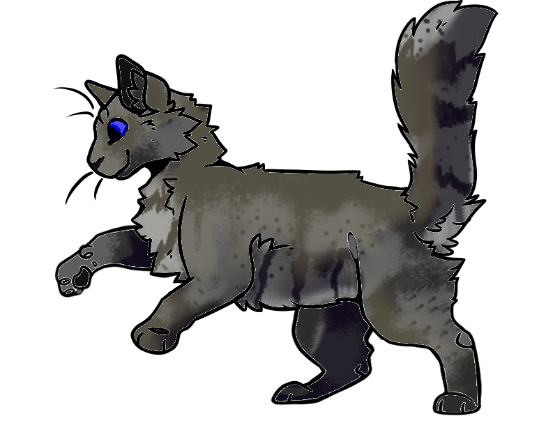 Pebblestorm | Warriors OC's Wiki | Fandom