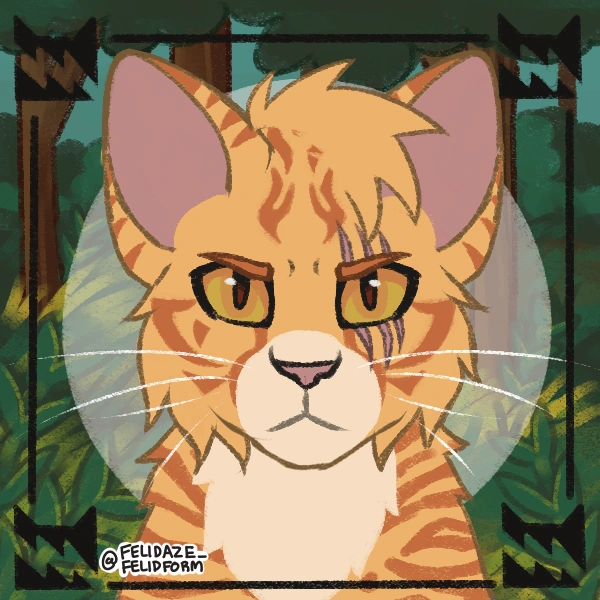 Lightflame | Warriors OC's Wiki | Fandom