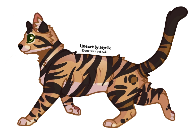 Tigerpaw | Warriors OC's Wiki | Fandom