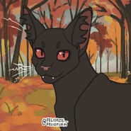 Nightdust | Warriors OC's Wiki | Fandom