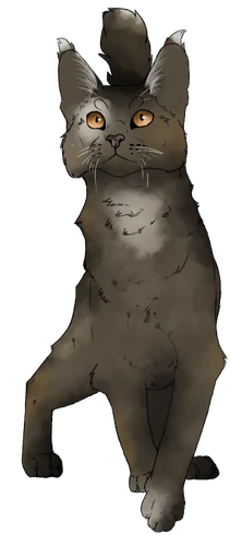 Sweetpaw (ItF) | Warriors OC's Wiki | Fandom