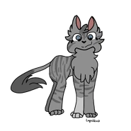 Stormtail (TC) | Warriors OC's Wiki | Fandom