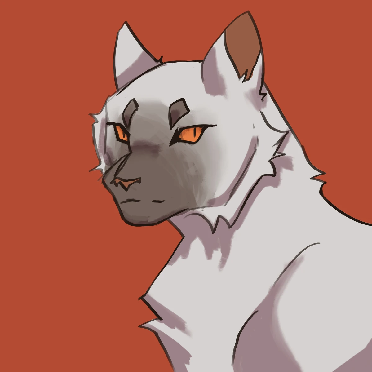 Quartz | Warriors OC's Wiki | Fandom