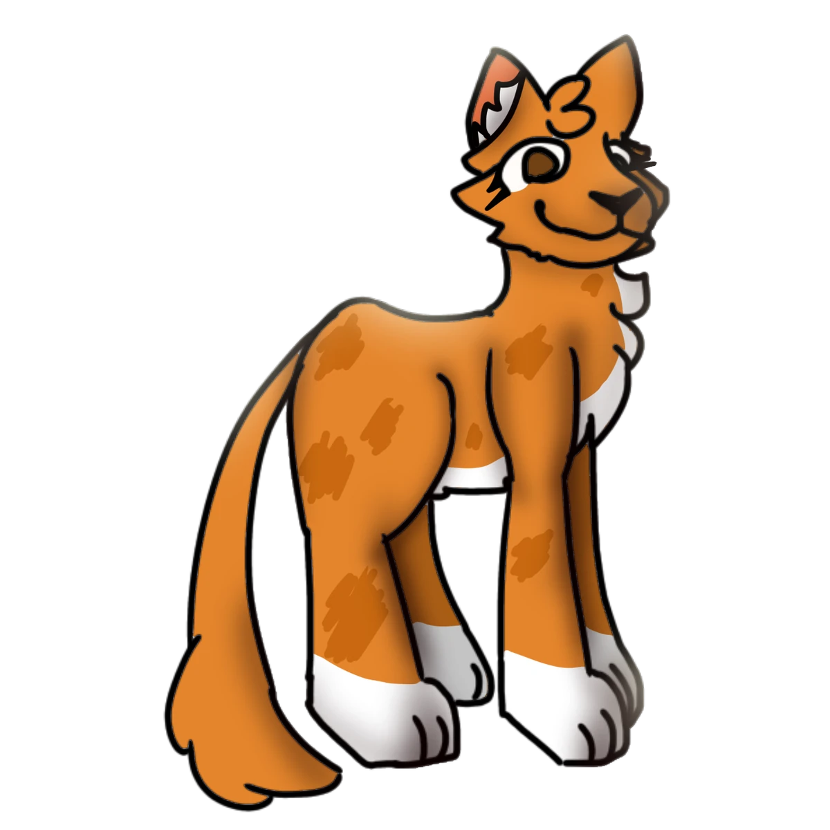 Sunpelt (TC) | Warriors OC's Wiki | Fandom