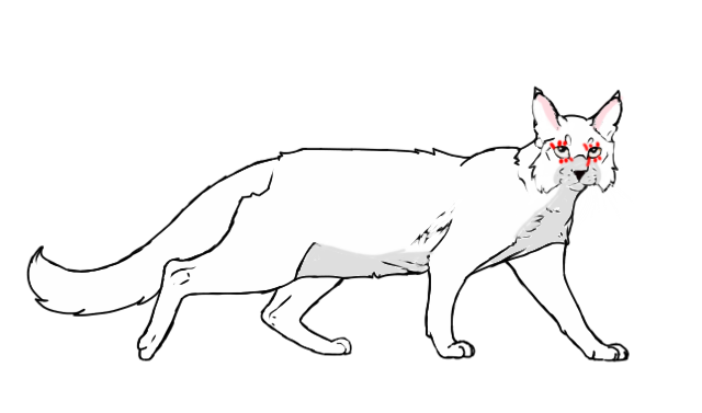 White Eyes | Warriors OC's Wiki | Fandom