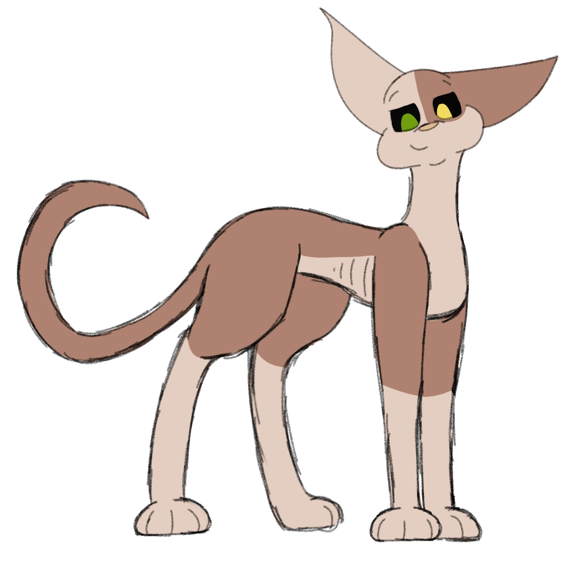 Featherstalk (NH) | Warriors OC's Wiki | Fandom