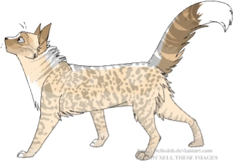 Mapleheart (WooC) | Warriors OC's Wiki | Fandom