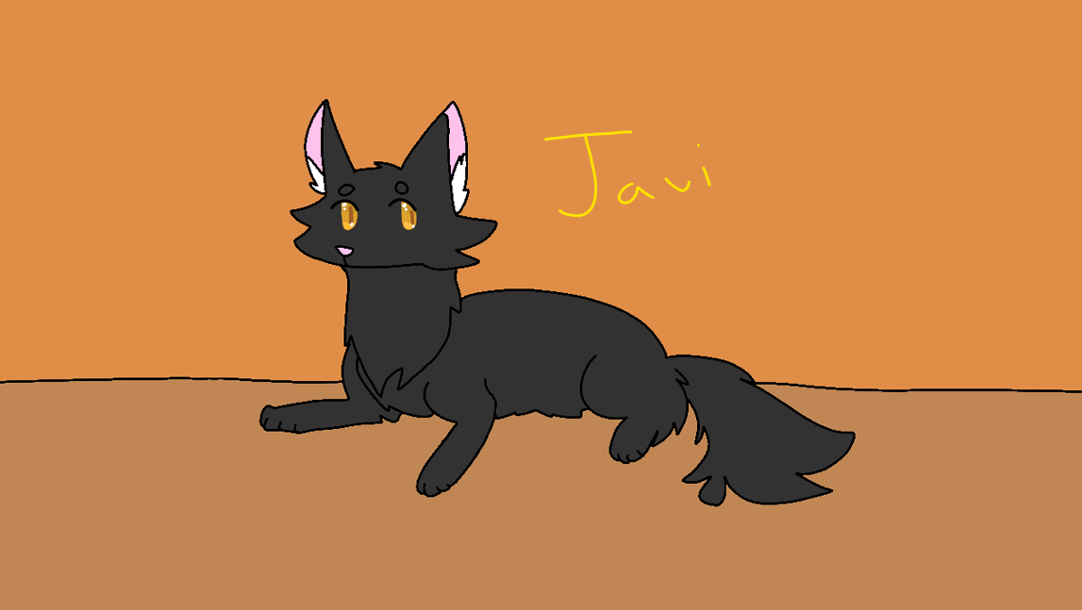 Javi | Warriors OC's Wiki | Fandom