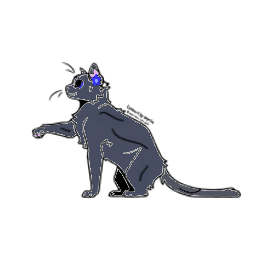 Starflower | Warriors OC's Wiki | Fandom