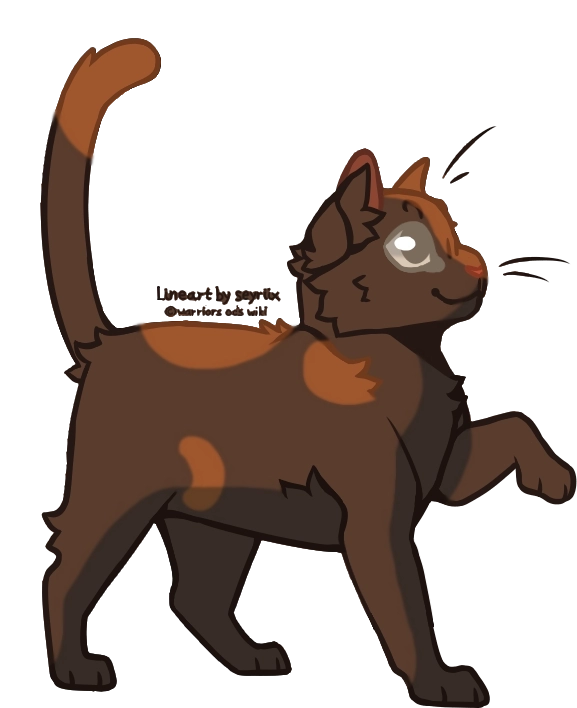 Dartkit (ShB) | Warriors OC's Wiki | Fandom