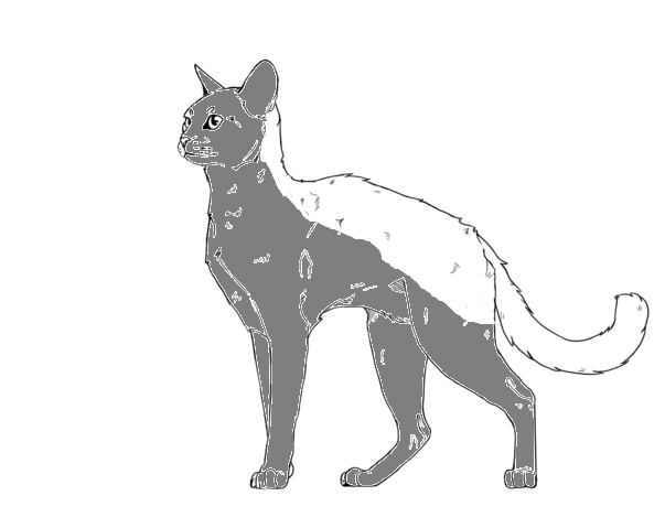 Shellfur | Warriors OC's Wiki | Fandom