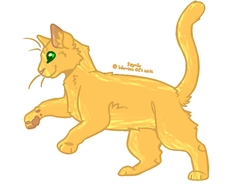 Leopardchaser (TSotS) | Warriors OC's Wiki | Fandom